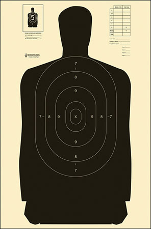 Action Target B27SBLACK100 Qualification Standard Silhouette Heavy ...